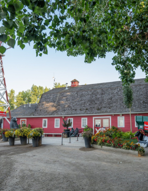 Explore Saskatoon, Saskatchewan | Discover Saskatoon